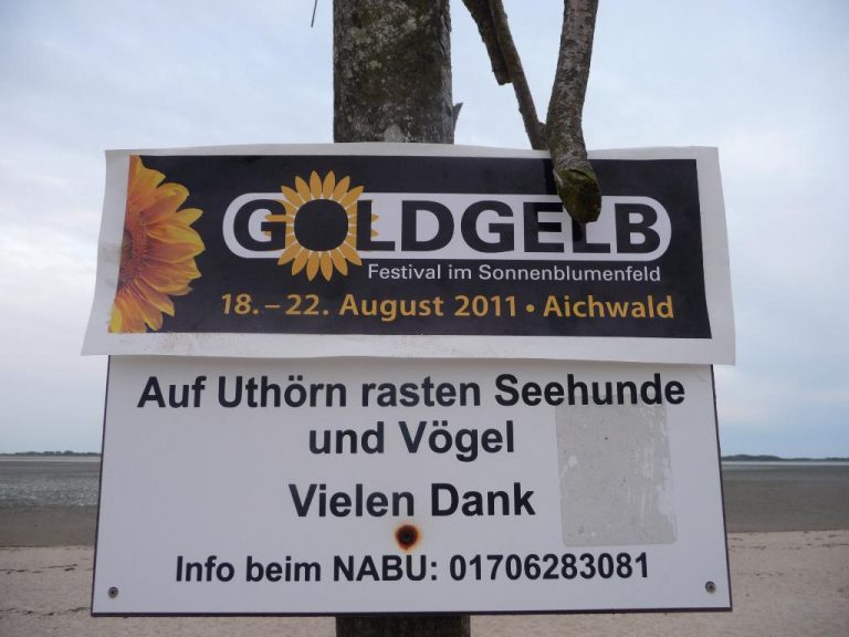Goldgelb on tour - GOLDGELB - Festival im Sonnenblumenfeld